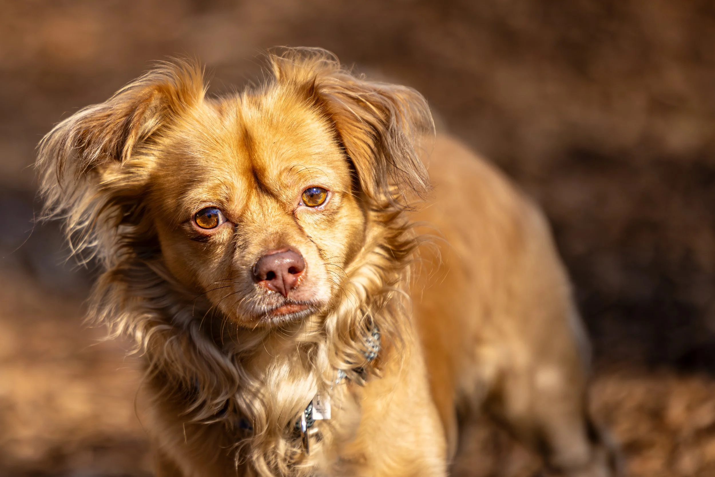 Fred Strobel Photography