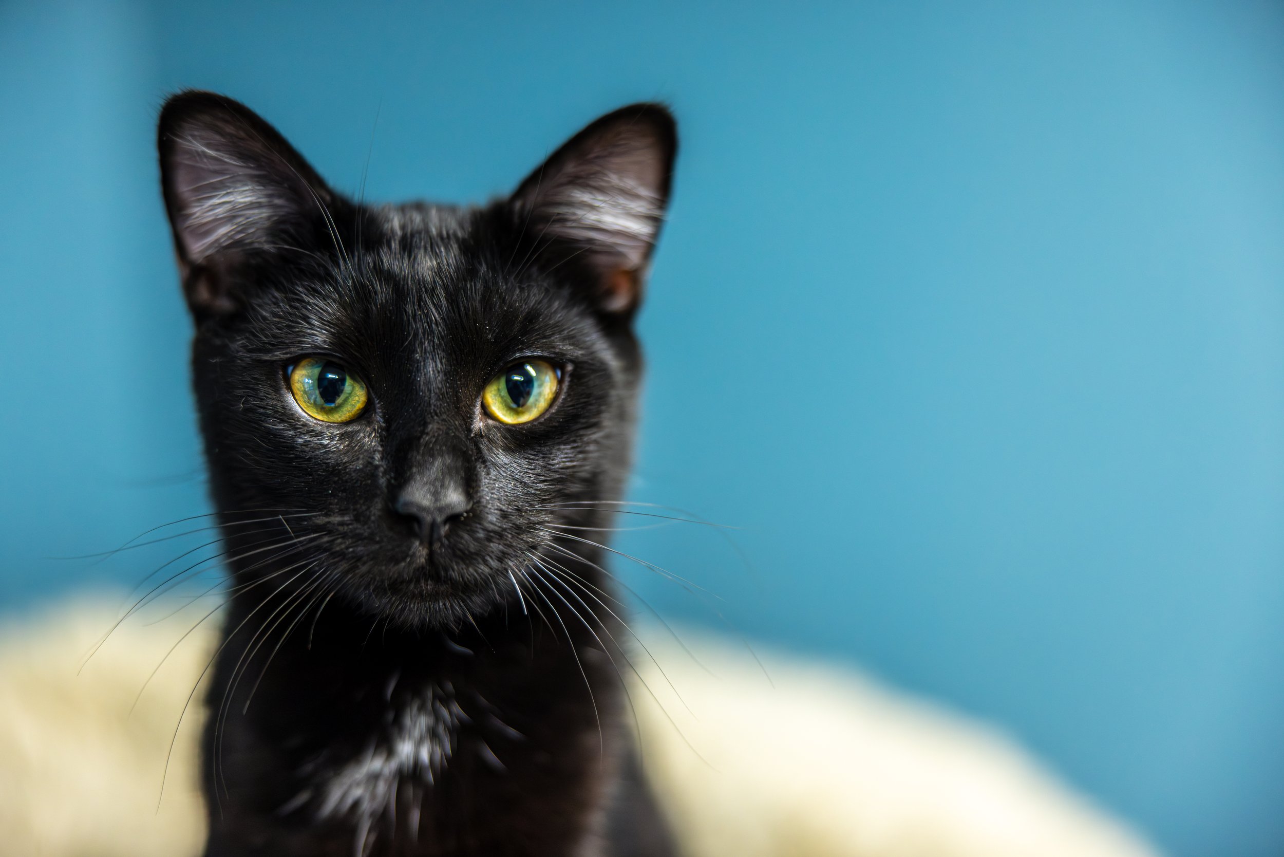 Fred Strobel Photography