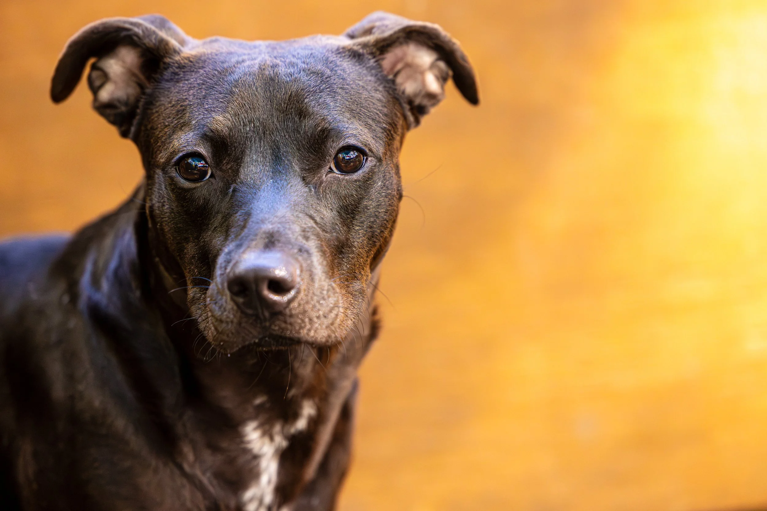 Fred Strobel Photography