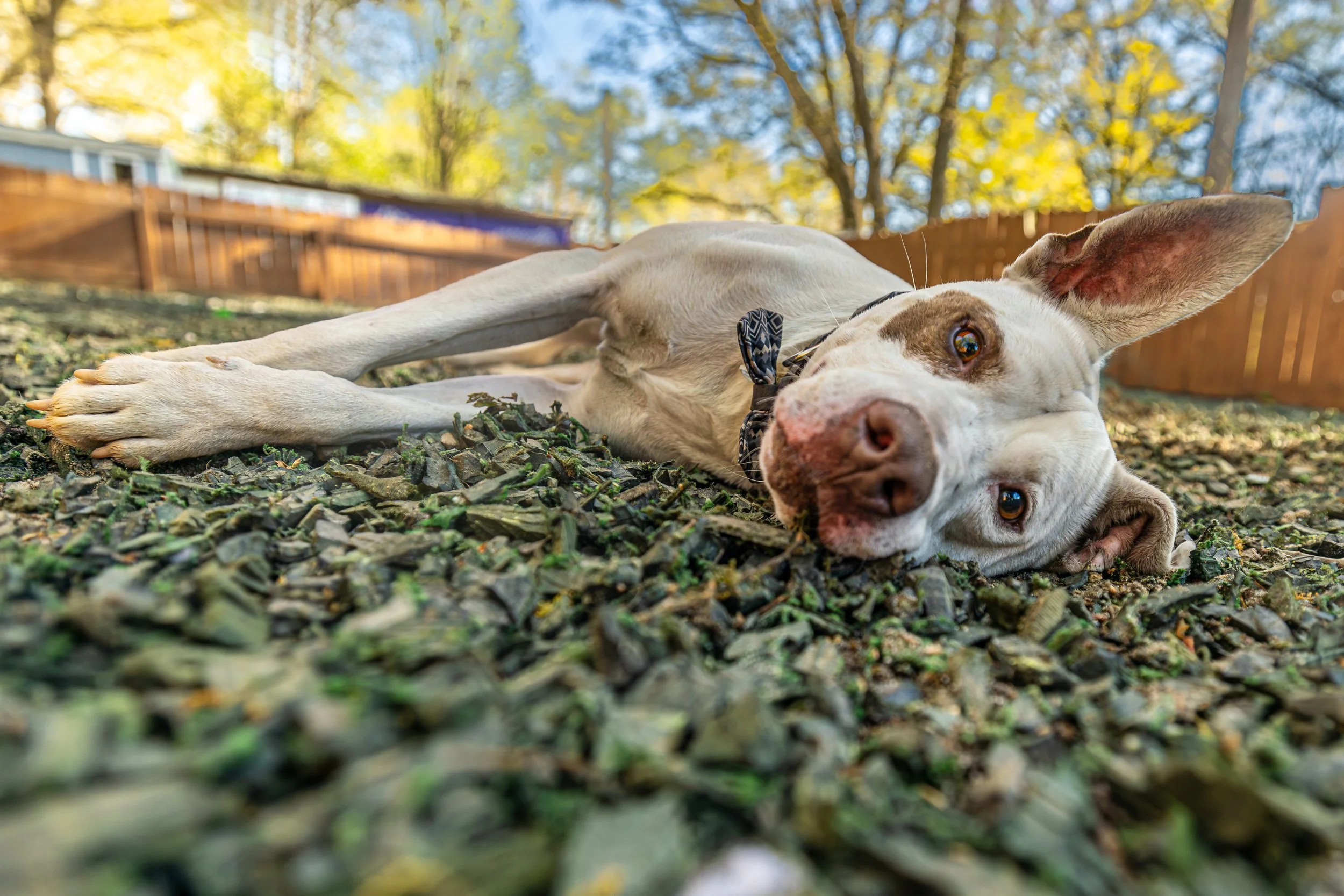 Fred Strobel Photography