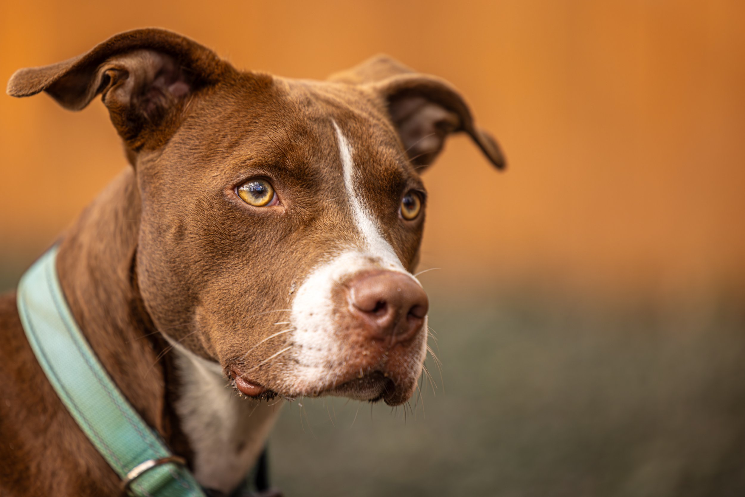 Fred Strobel Photography