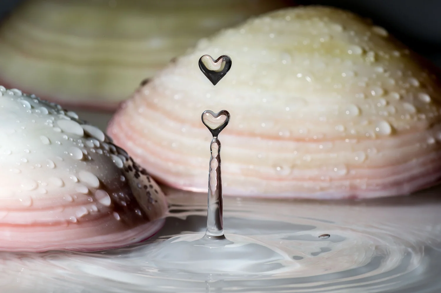 Lava Shell Massage — elements beauty