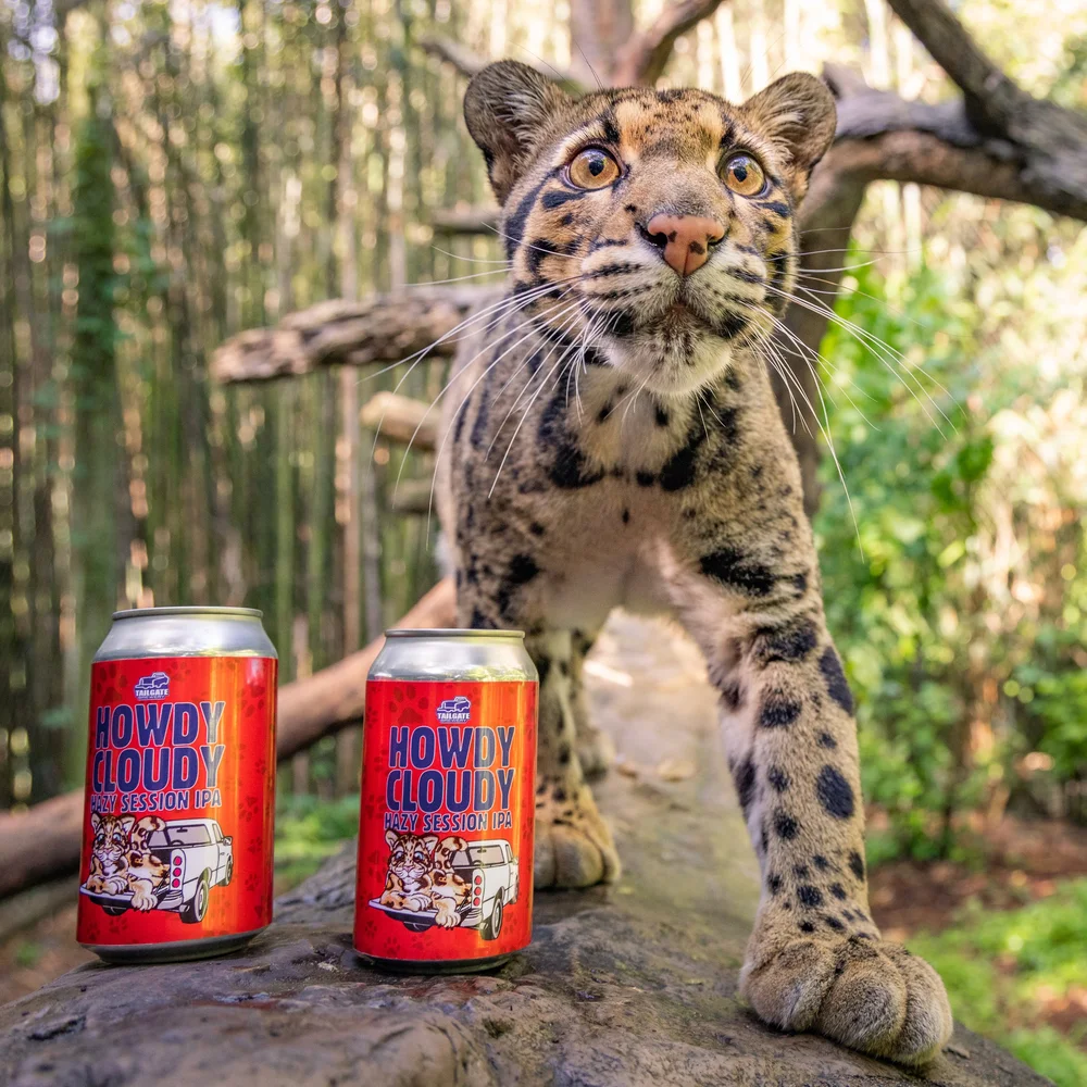 Craft Beer — TailGate Brewery