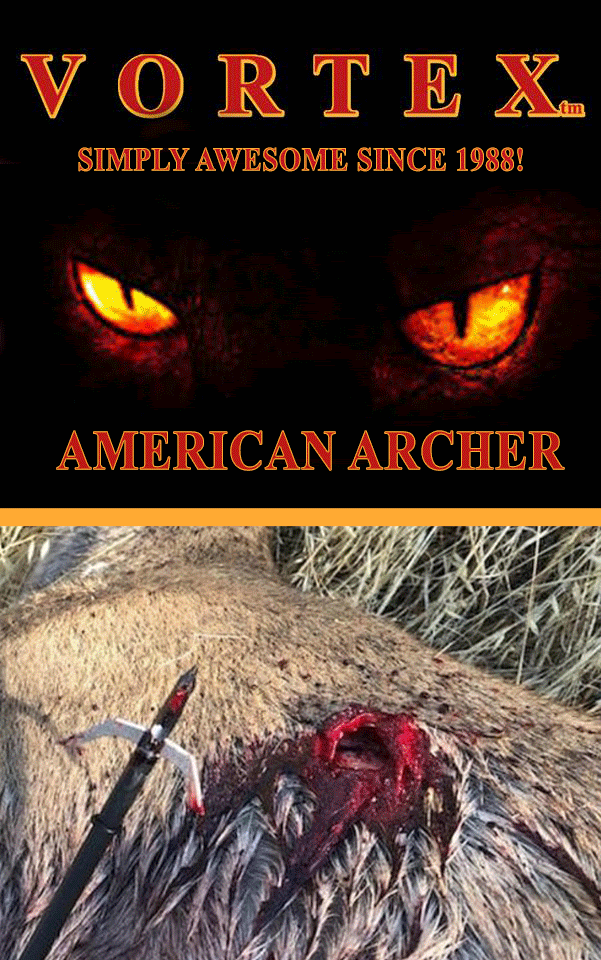 The American Archer