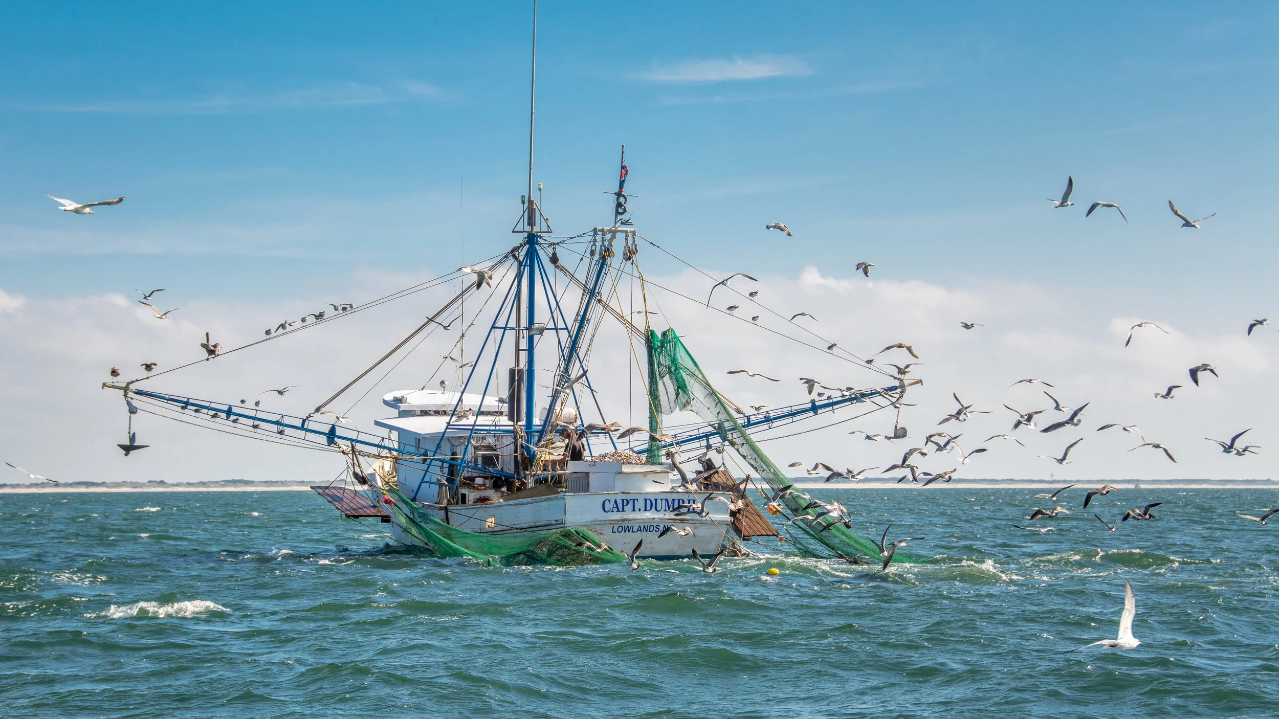 Lifestyle — Fish Hunt Photo