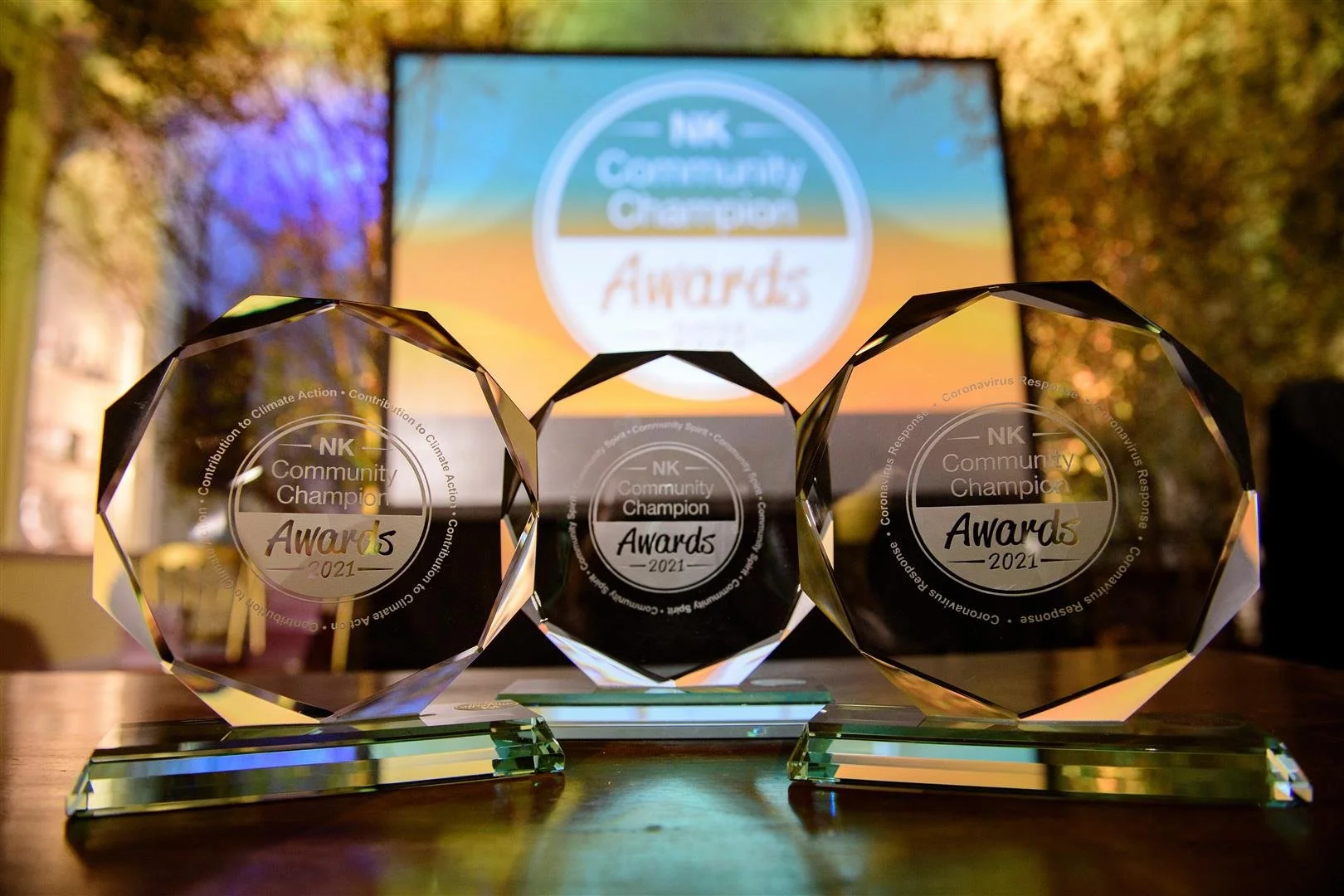 Gallery 2021 — NK Community Champion Awards