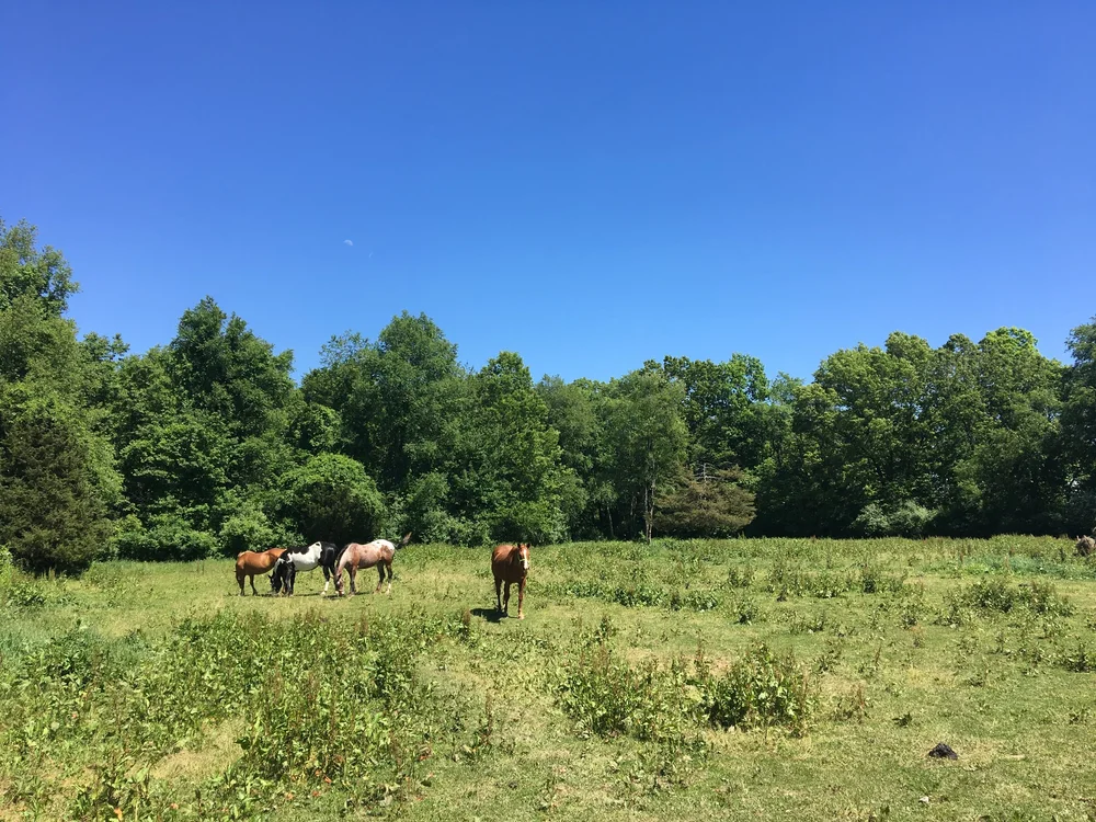 Visual Tour — Sherman Lake YMCA Outdoor Center