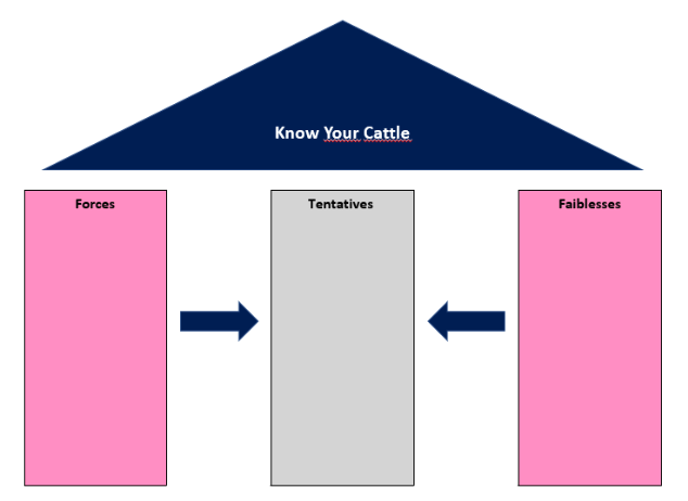 KYC (Know your cattle) - Adaptation des objectifs et du jeu — Swiss ...