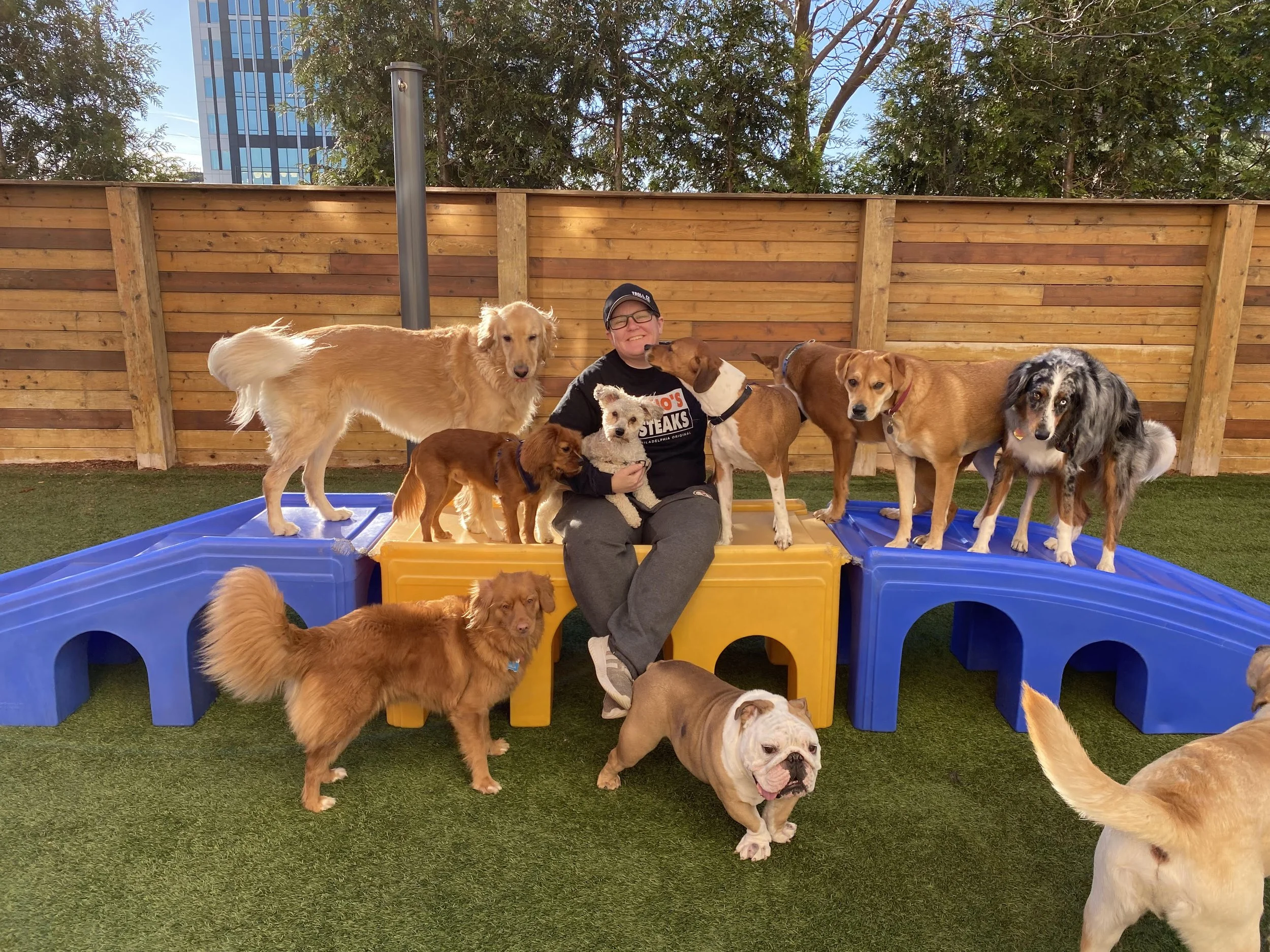 Playgroup — The Dogfather