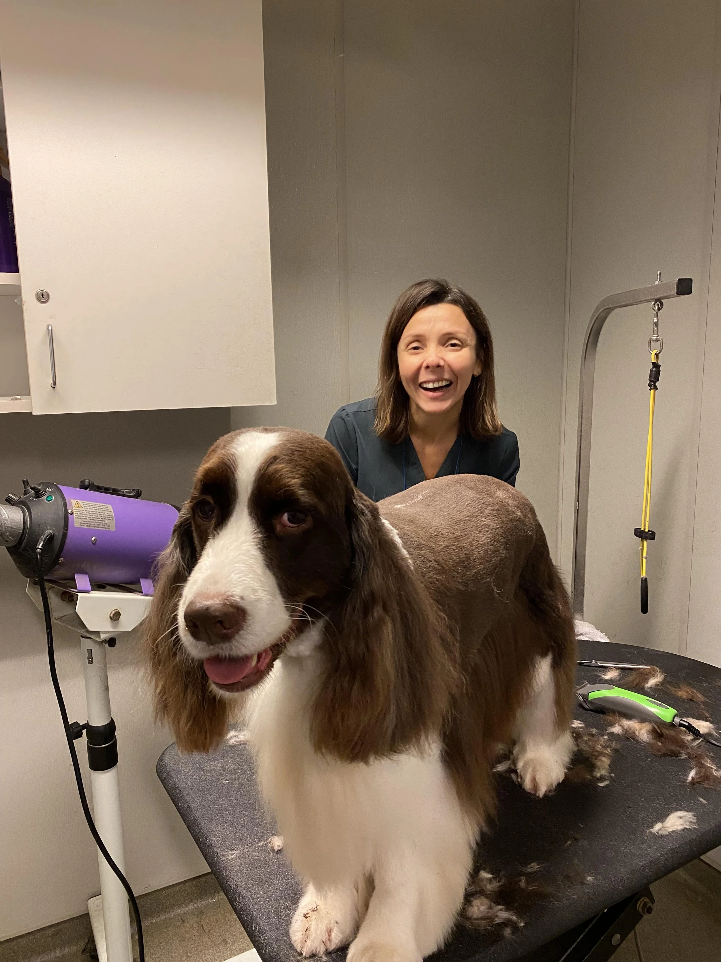 Grooming — The Dogfather