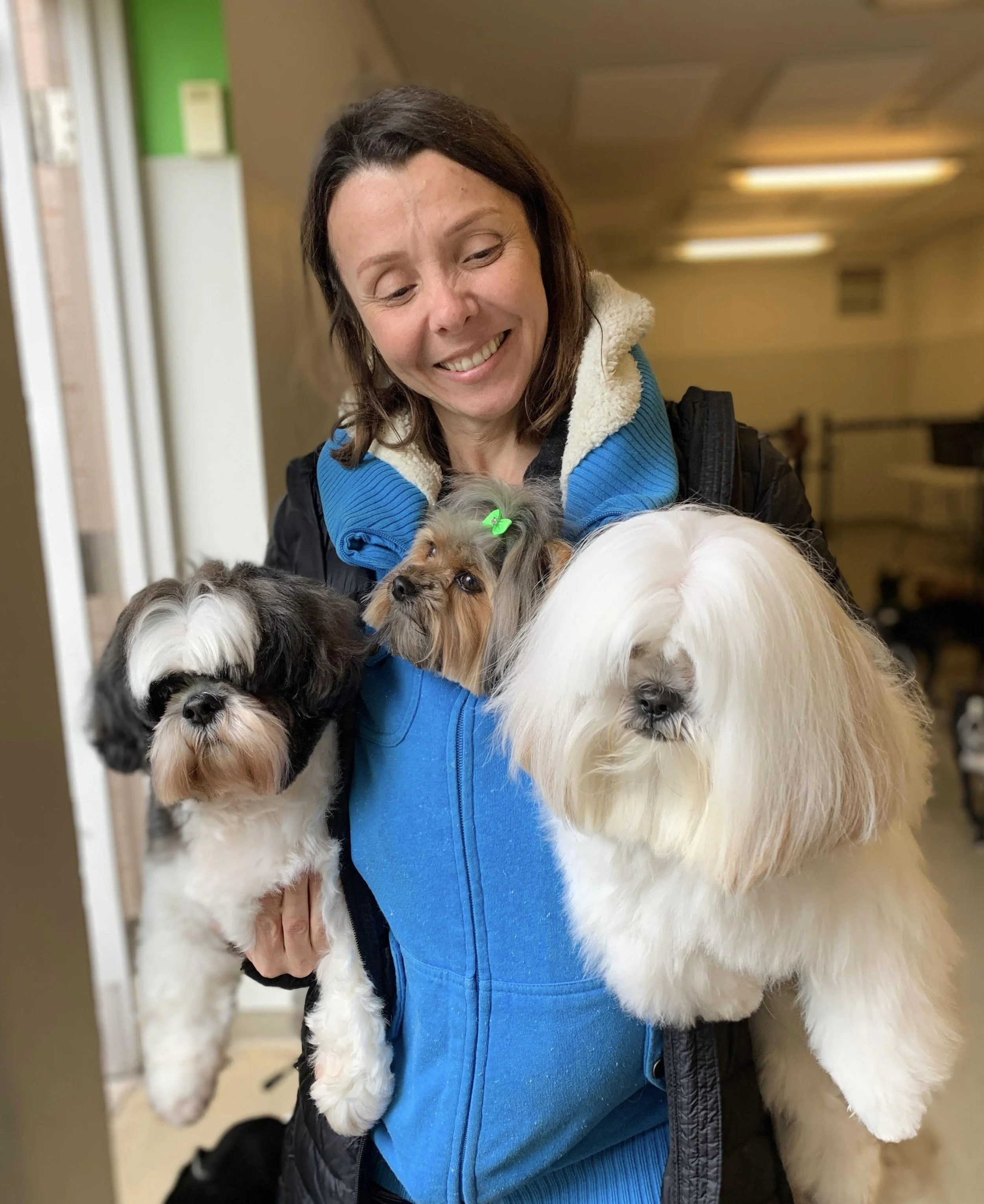 Grooming — The Dogfather