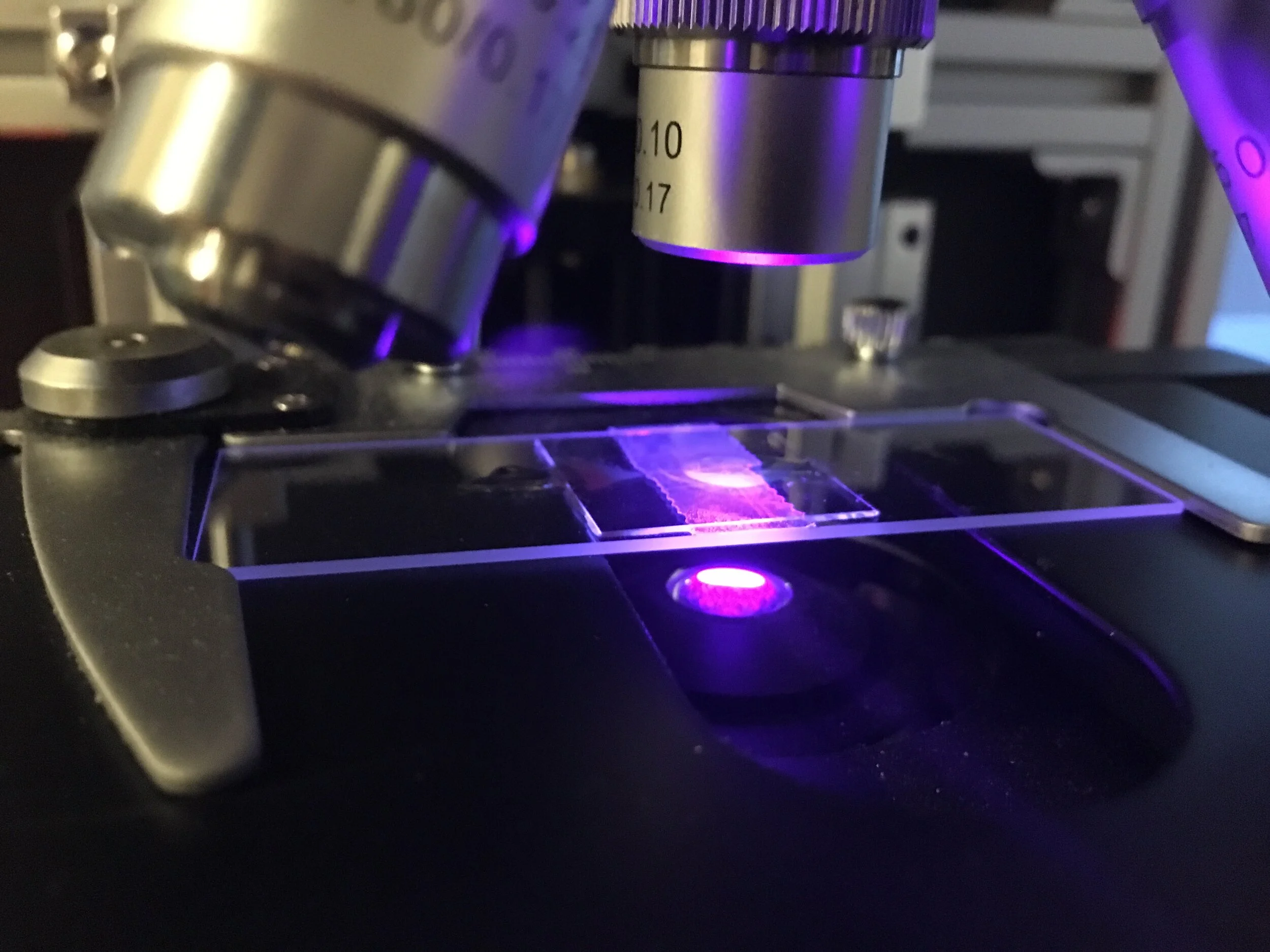 Contract: Robotic Microscope Prototype — QuickShift.io