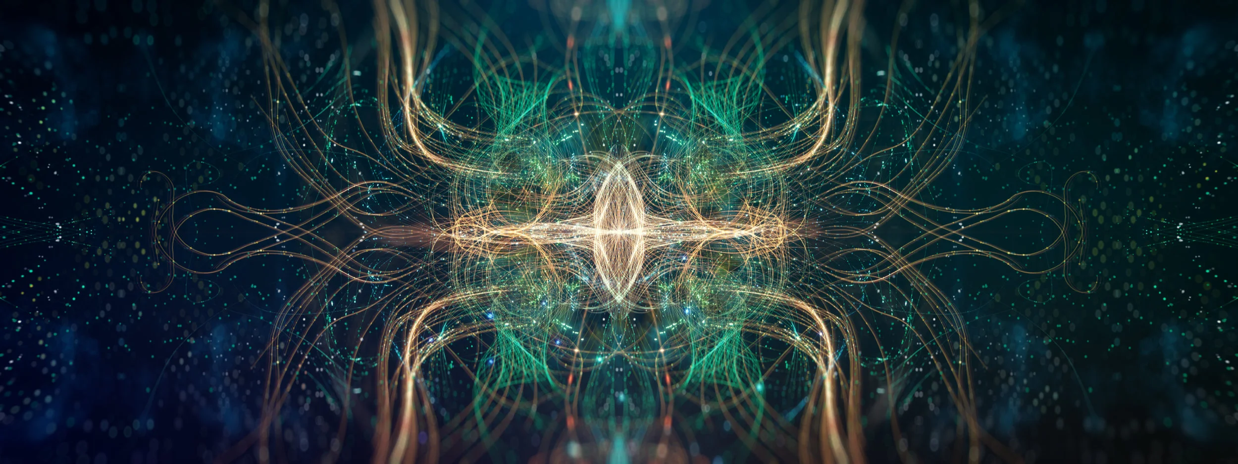 DISCOVERY — Bryan Coleman