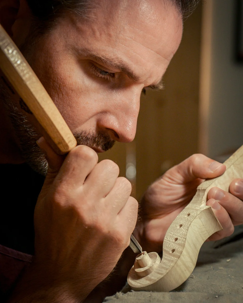 The Luthier — Marco Cargnelutti Liutaio