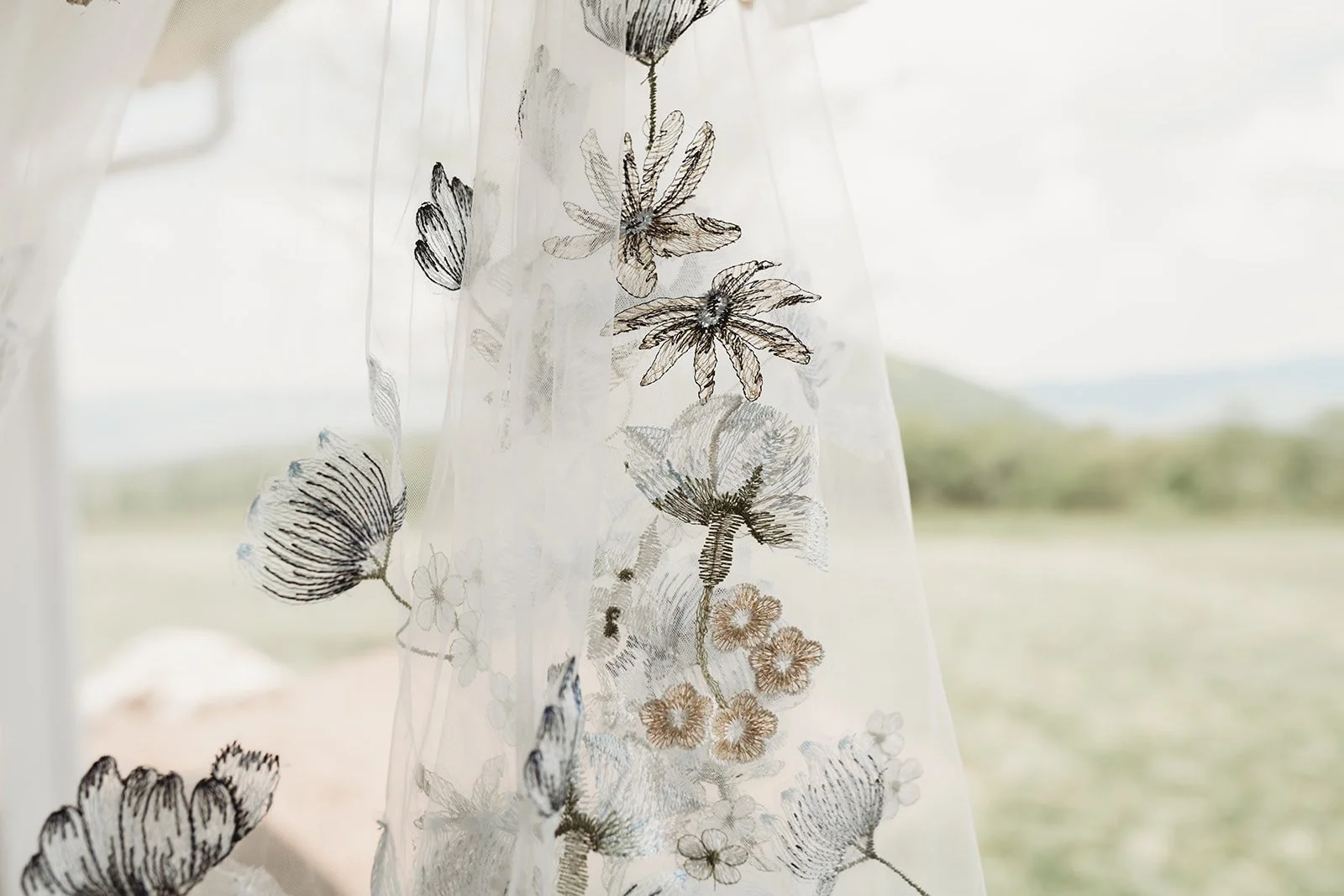 Blog — The Whole Shebang