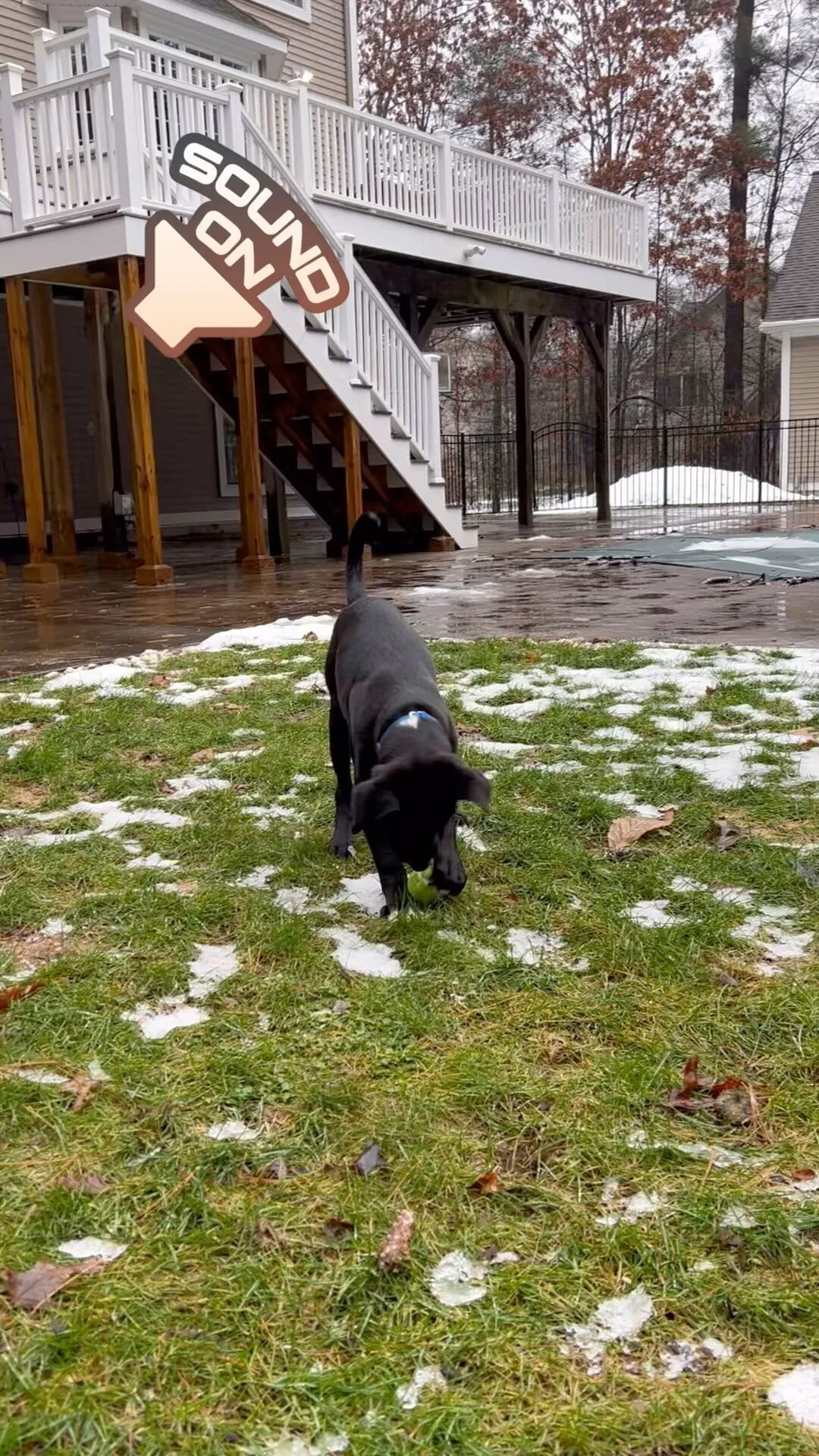 Science reveals that we regret inaction far more than action ...