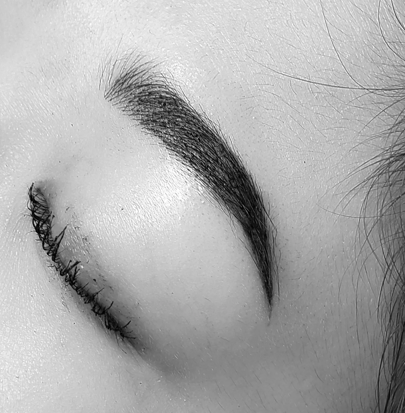 Brow Services Edmonton & St. Albert | Eye Candy Lash Extensions