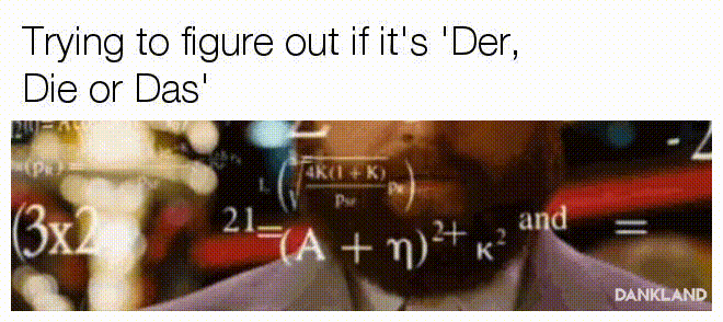 Life as an Expat in Germany: Described in Memes — Hannah Teslin