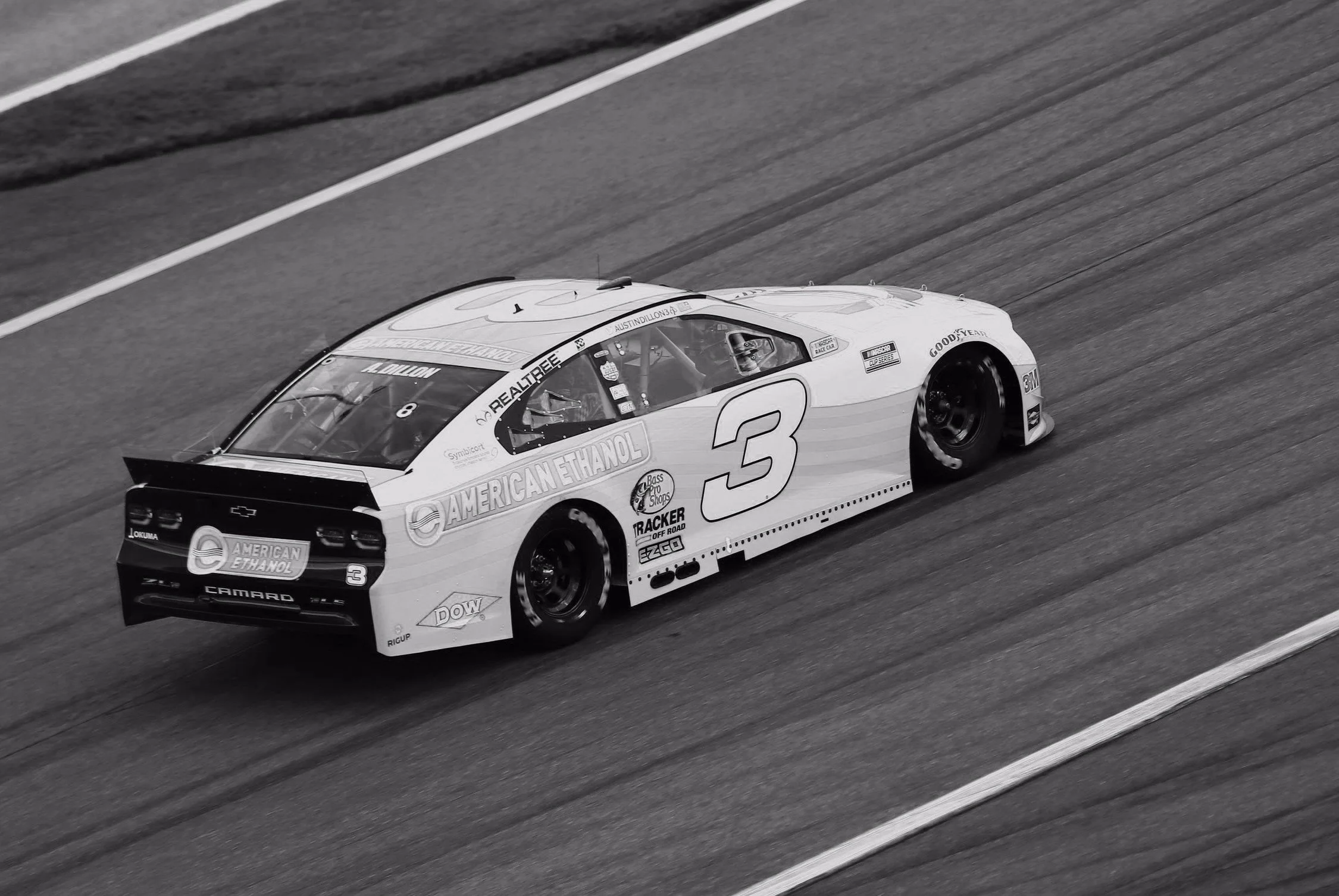 Kaz Grala - Official Website