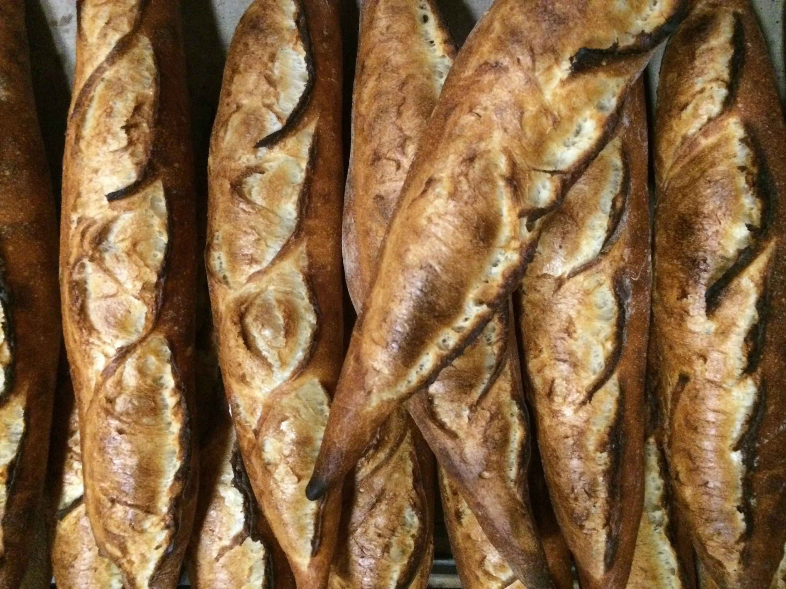 Wayfarer Bread
