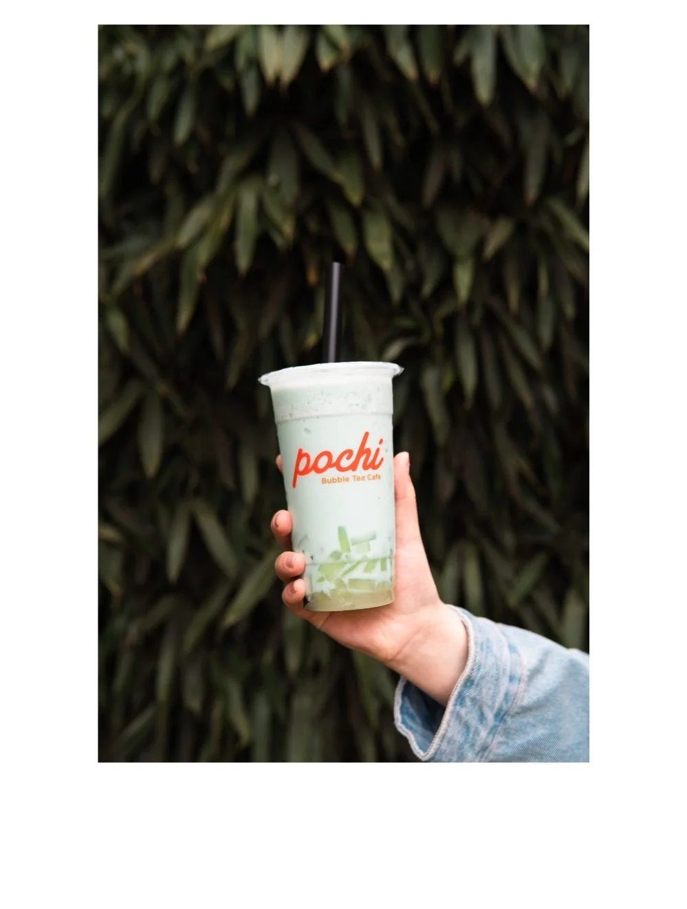 Let’s Talk Boba: How To Become the Ultimate Bubble Tea Expert, Pochi ...