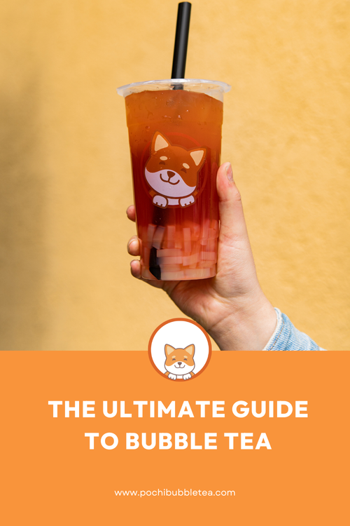 Let’s Talk Boba: How To Become the Ultimate Bubble Tea Expert, Pochi ...