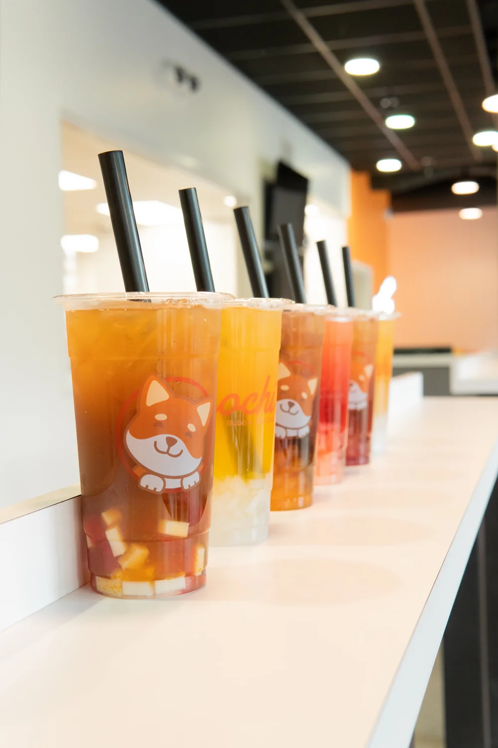 Let’s Talk Boba: How To Become the Ultimate Bubble Tea Expert, Pochi ...