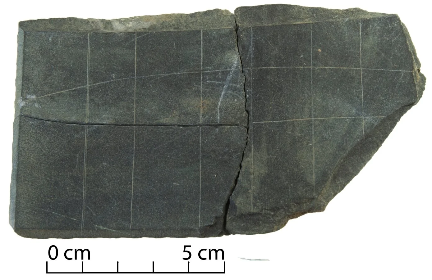 Curriculum development — Christchurch Archaeology Project