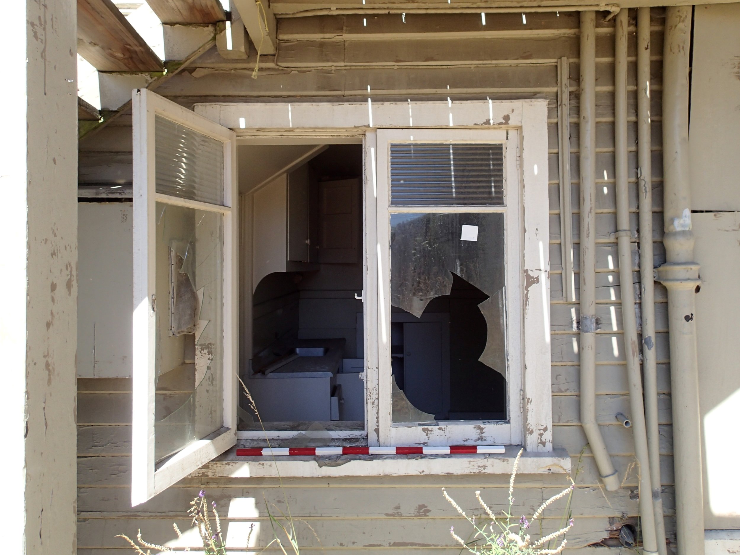 On windows — Christchurch Archaeology Project
