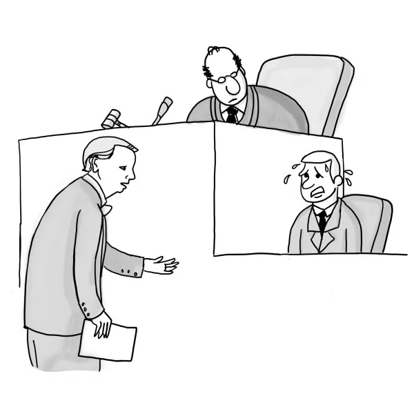 Expert Witness Cartoons