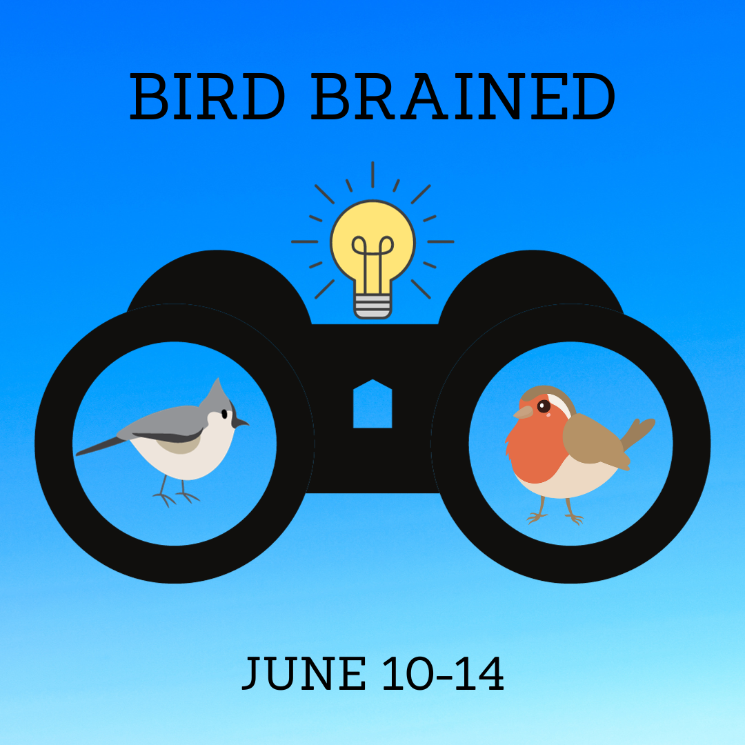 Camp Information (2021) — Louisville Nature Center