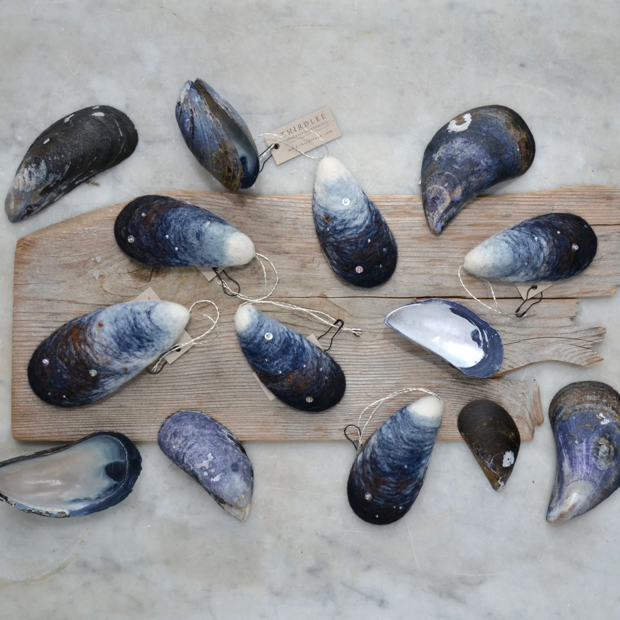 Mussel Shell Ornaments — THIRDLEE & Co.