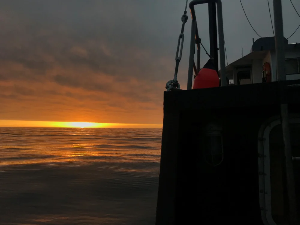 Overview — Marker Offshore LLC