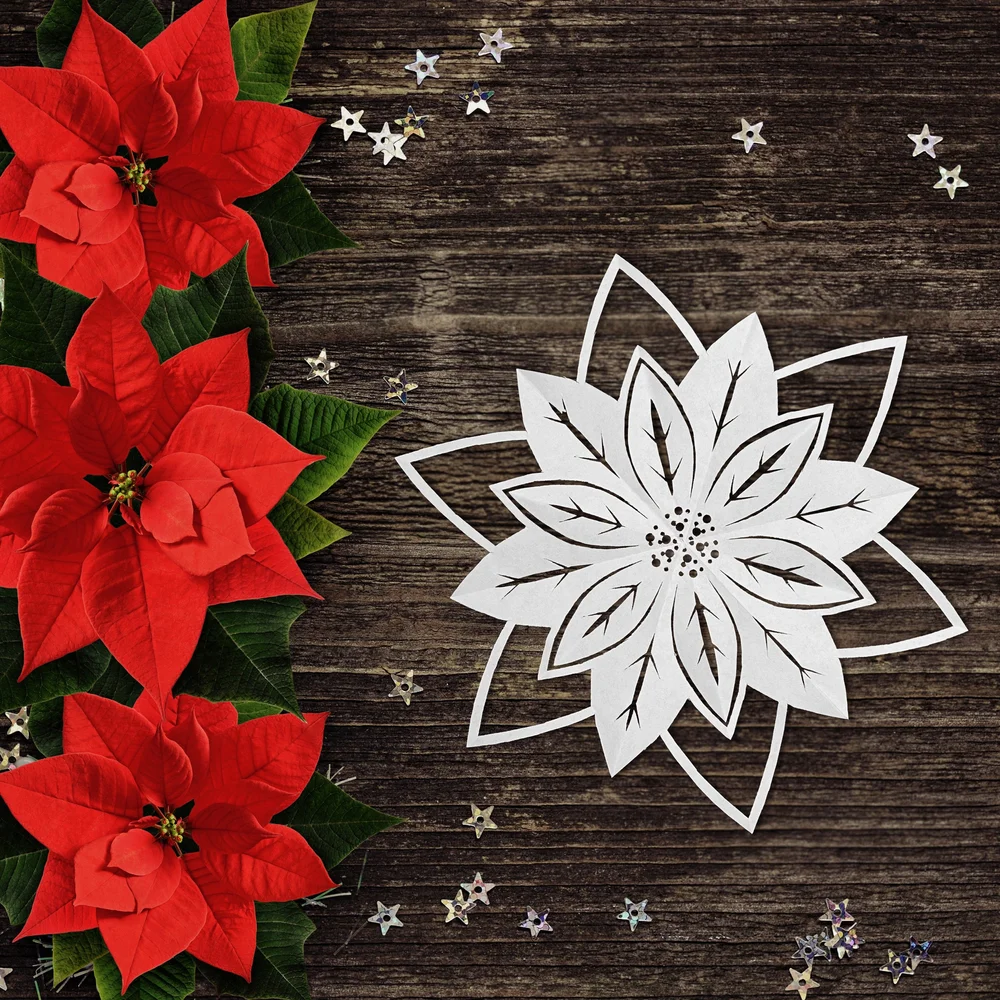 Poinsettia Paper Pattern