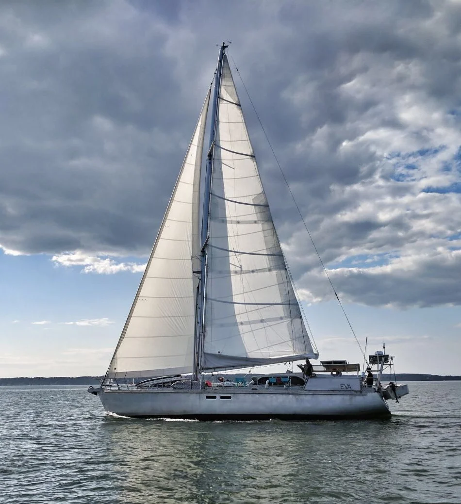 Ed Joy Design News — ED JOY DESIGN