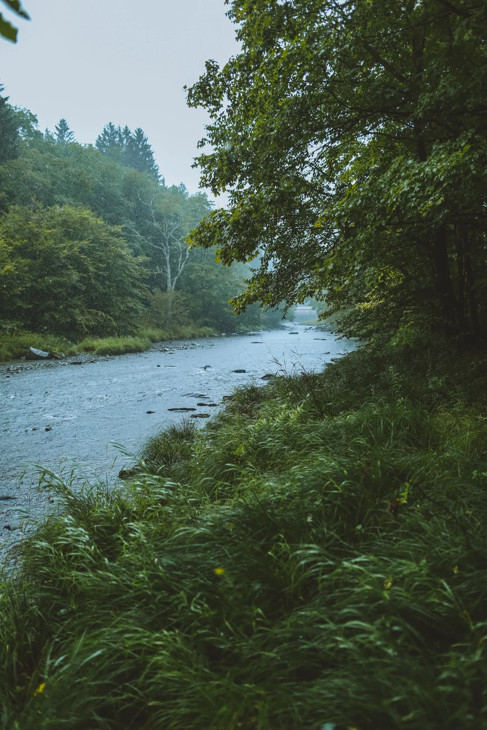 Beaverkill — Catskill Fly Fishing Museum