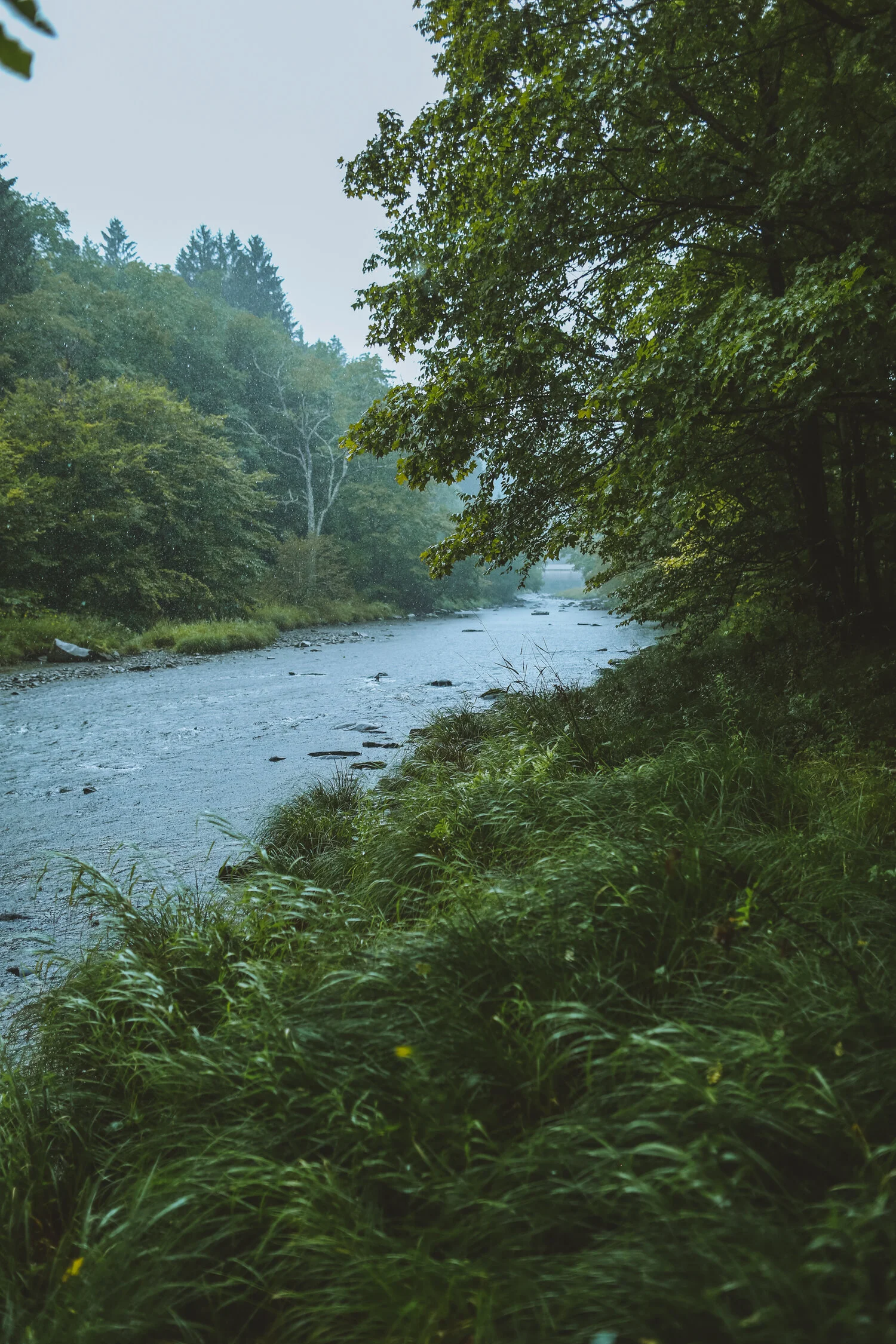 Our Region — Catskill Fly Fishing Museum