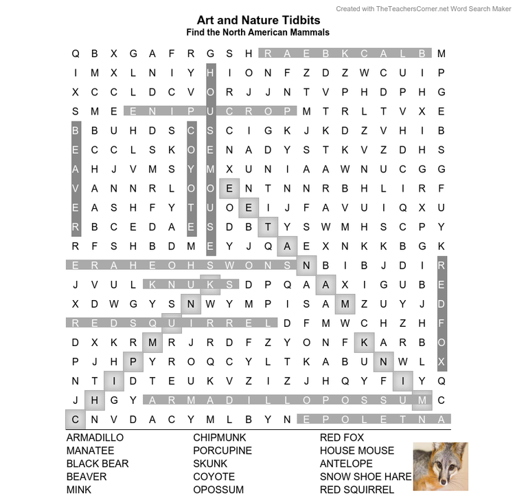 North American Mammals Word Search Key — Art & Nature Center