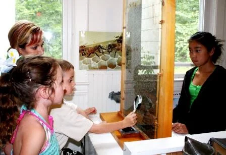 Nature Center — Art & Nature Center