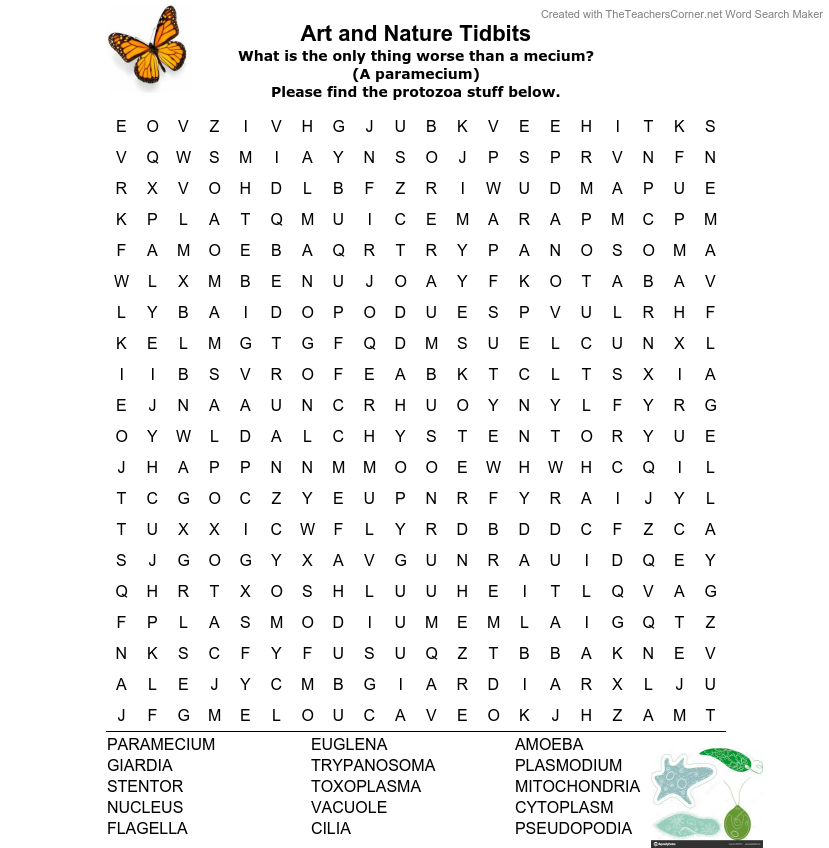 Protozoa Word Find — Art & Nature Center