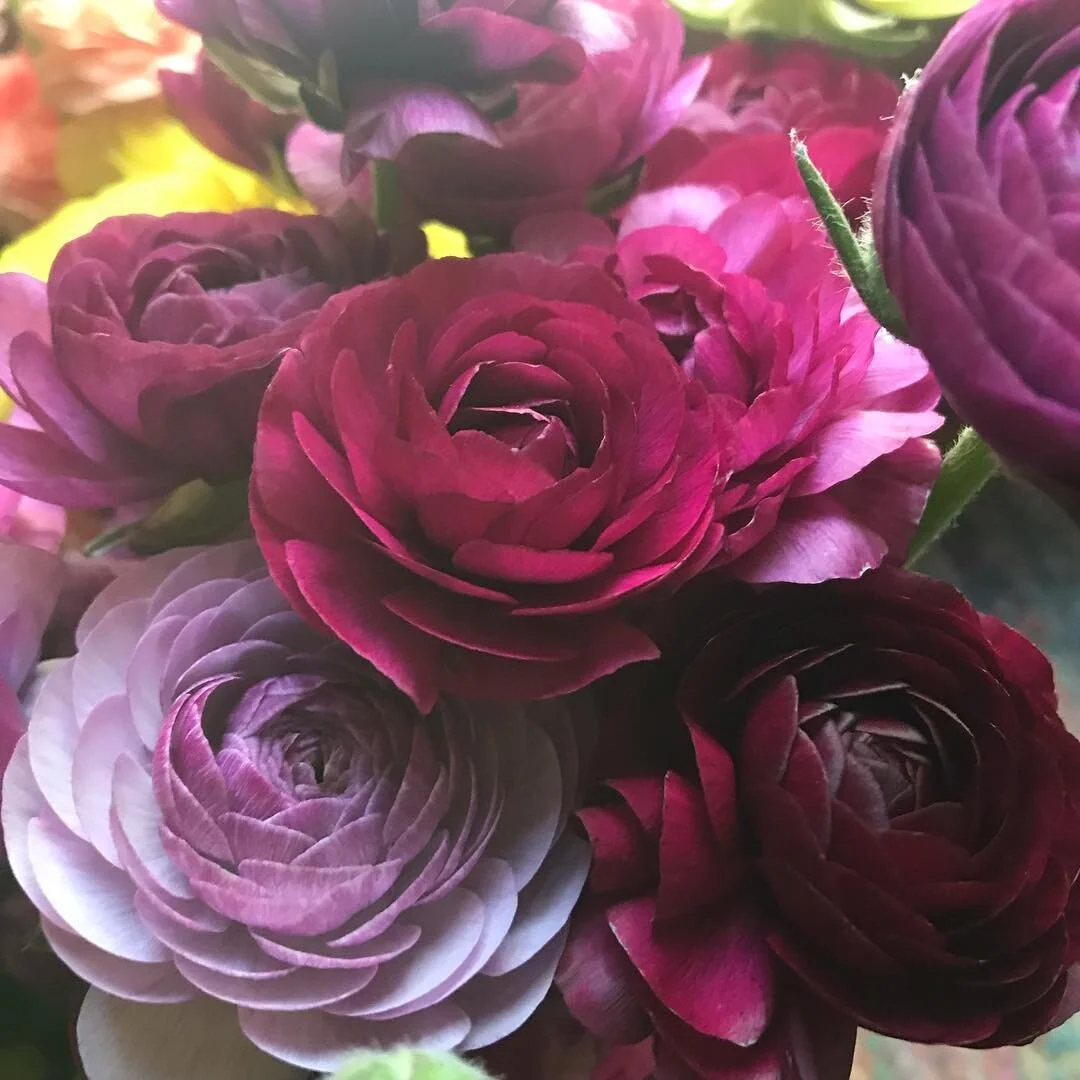 Blawesome Flower Farm