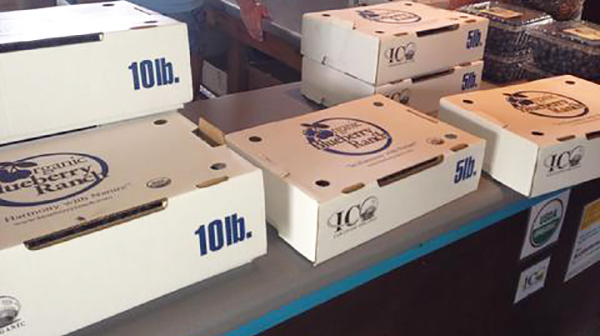 Organic Pre-picked Blueberries — The Blueberry Ranch (Mishawaka, IN ...