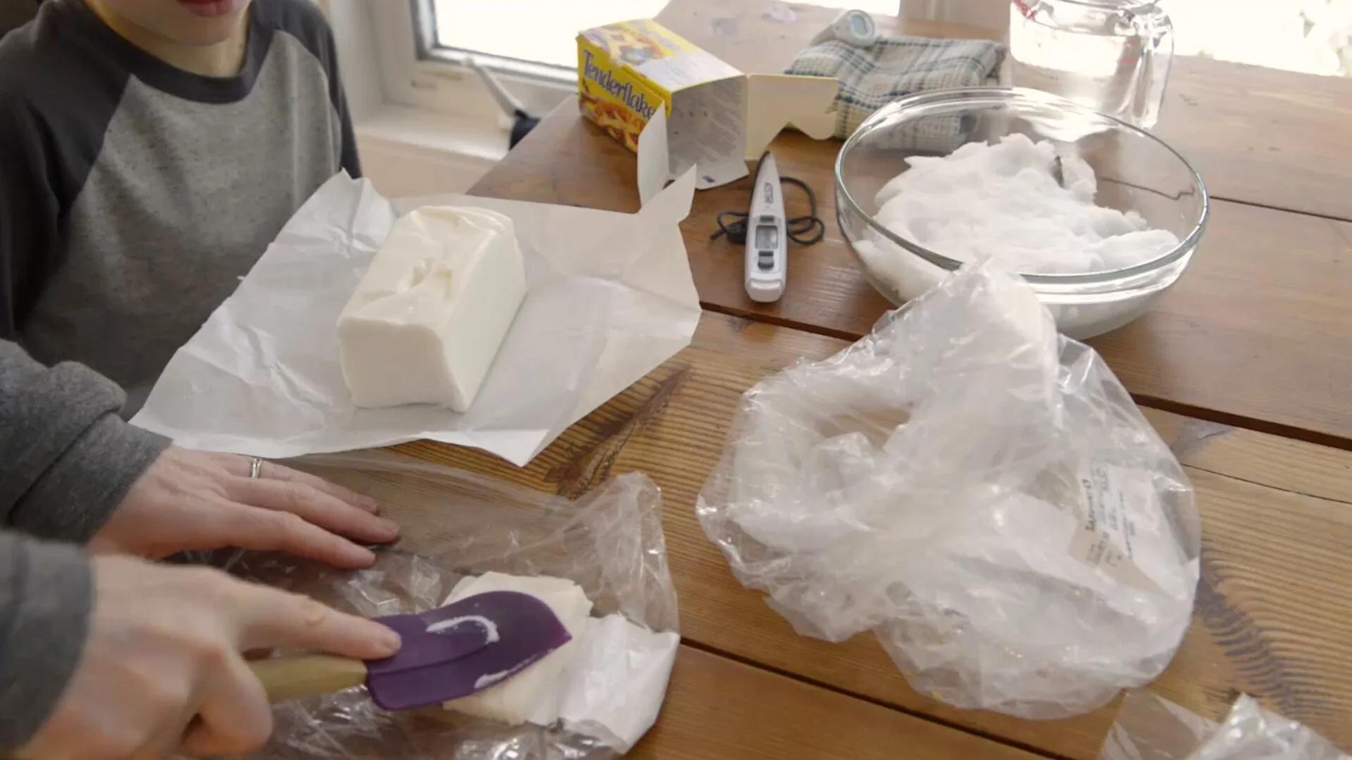 Arctic Series - Beluga Whale - STEM Challenge — Live It Earth