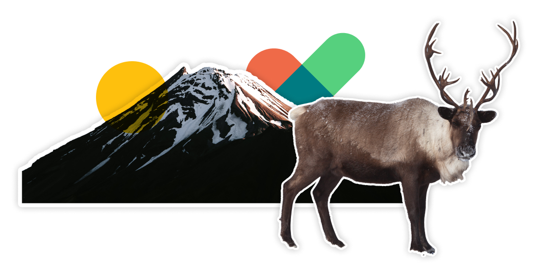 Resources for Educators — Live It Earth