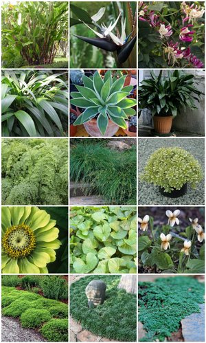 San Gabriel Garden's Preliminary Planting Palettes — de Graaf Design ...