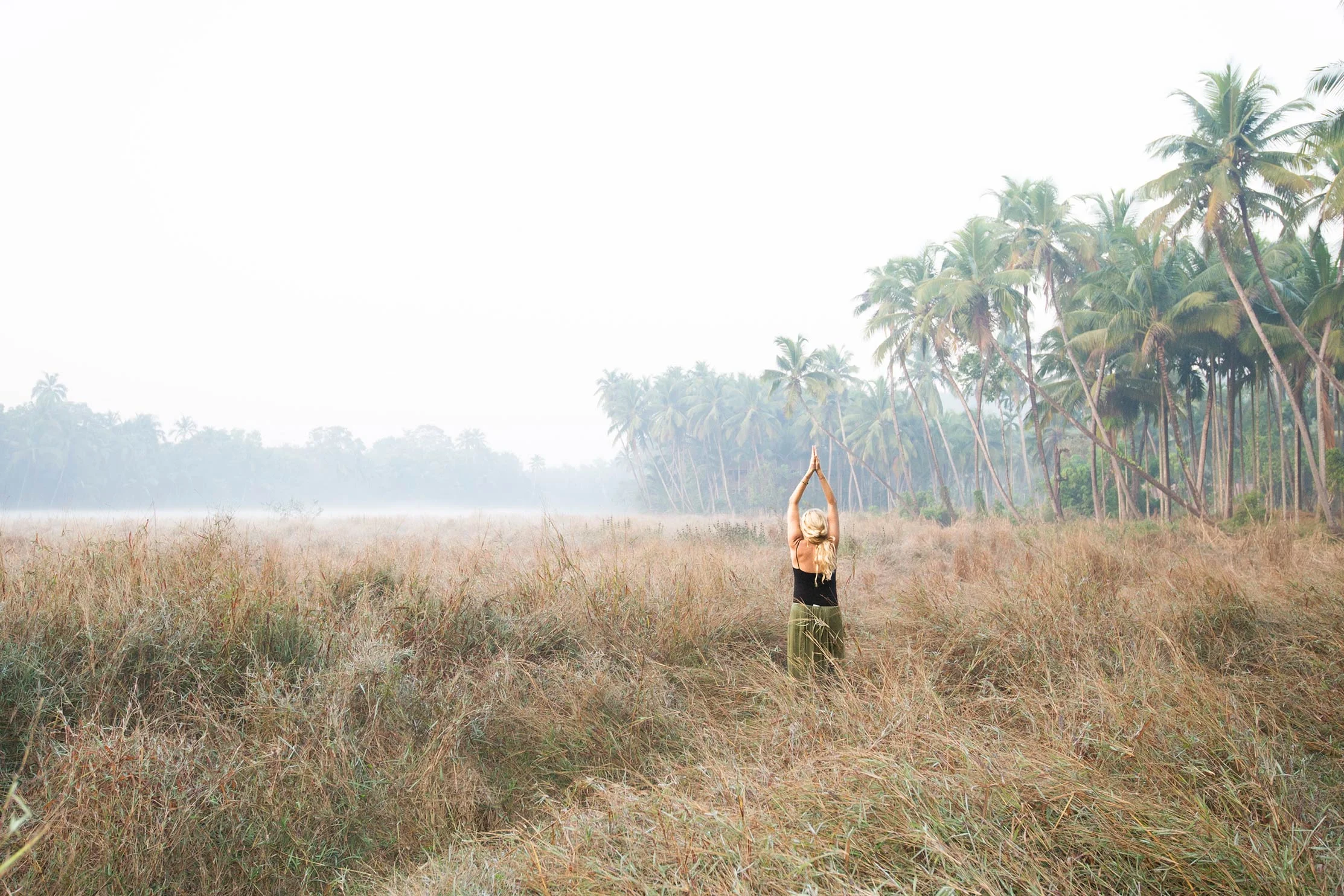 Embodied Flow™ | Somatic Movement & Yoga Teacher Training Embodied Flow