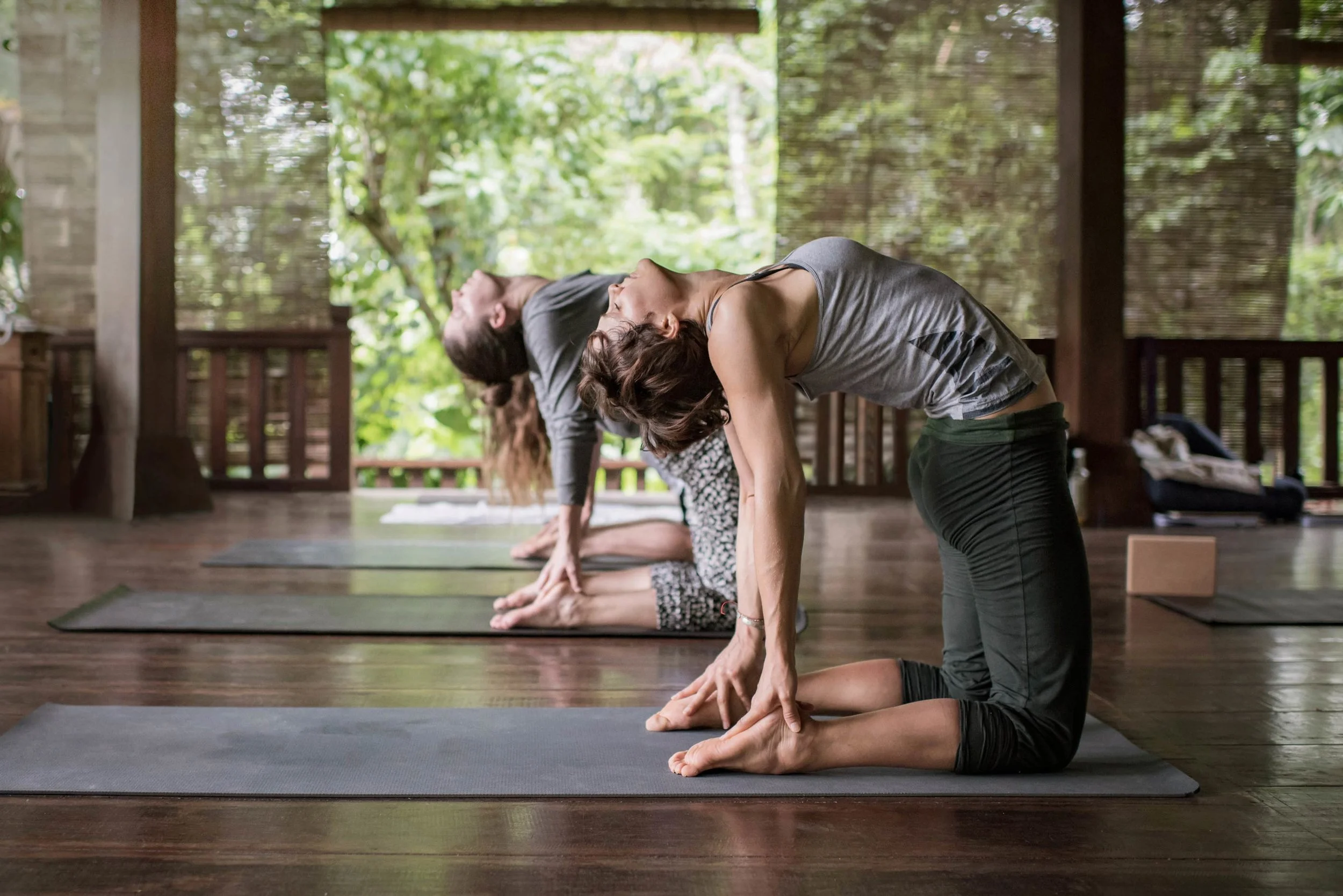 Embodied Flow™ | Somatic Movement & Yoga Teacher Training Embodied Flow