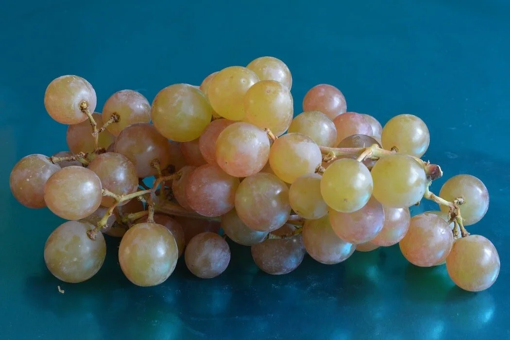 水果 FRUITS — Sun's Market