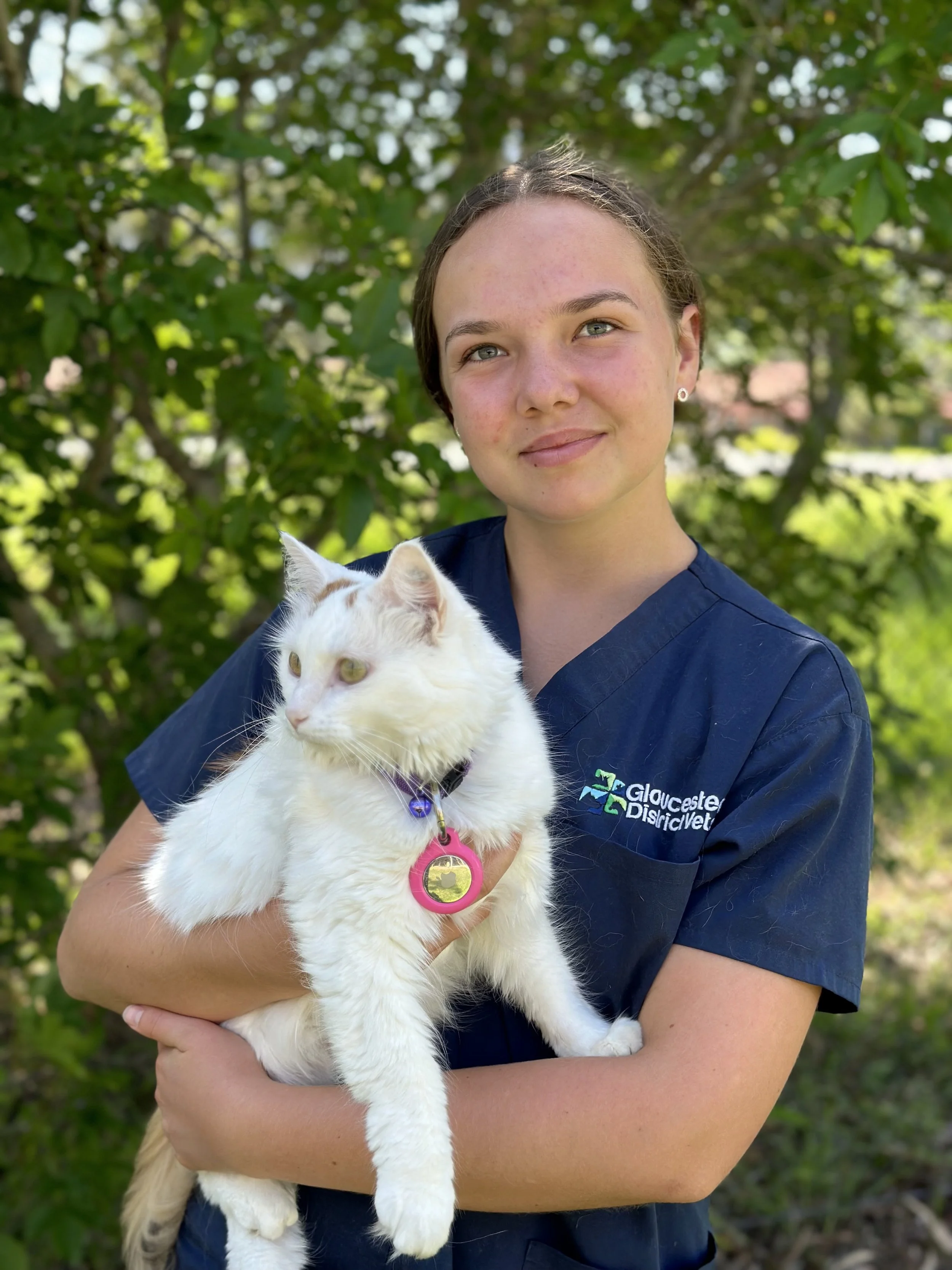 Staff — Gloucester District Vets