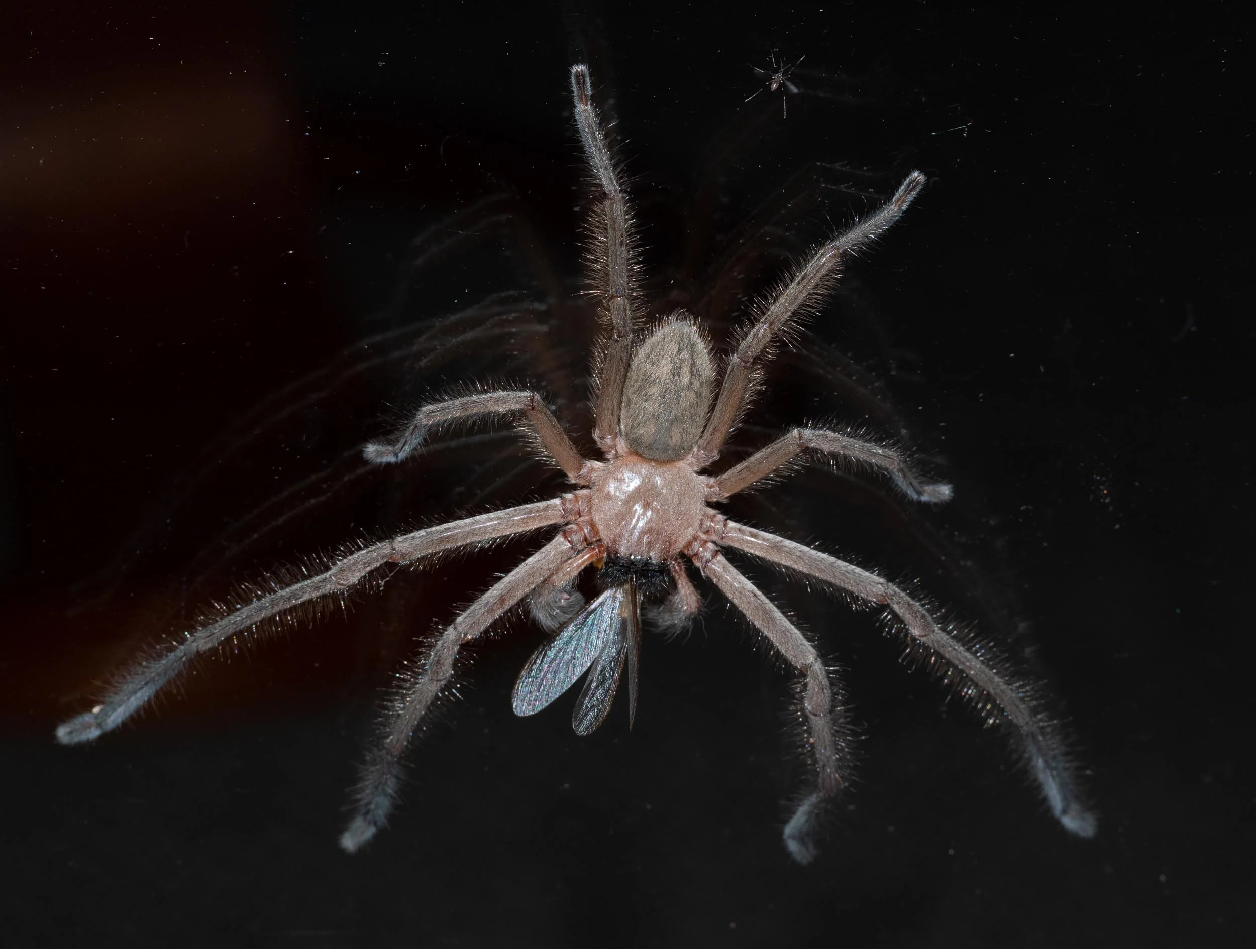 Week in pictures — Life in a Southern Forest